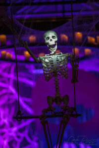 Cami's Halloween Bat Mitzvah | Mitzvah Events | Designer Event Chicago